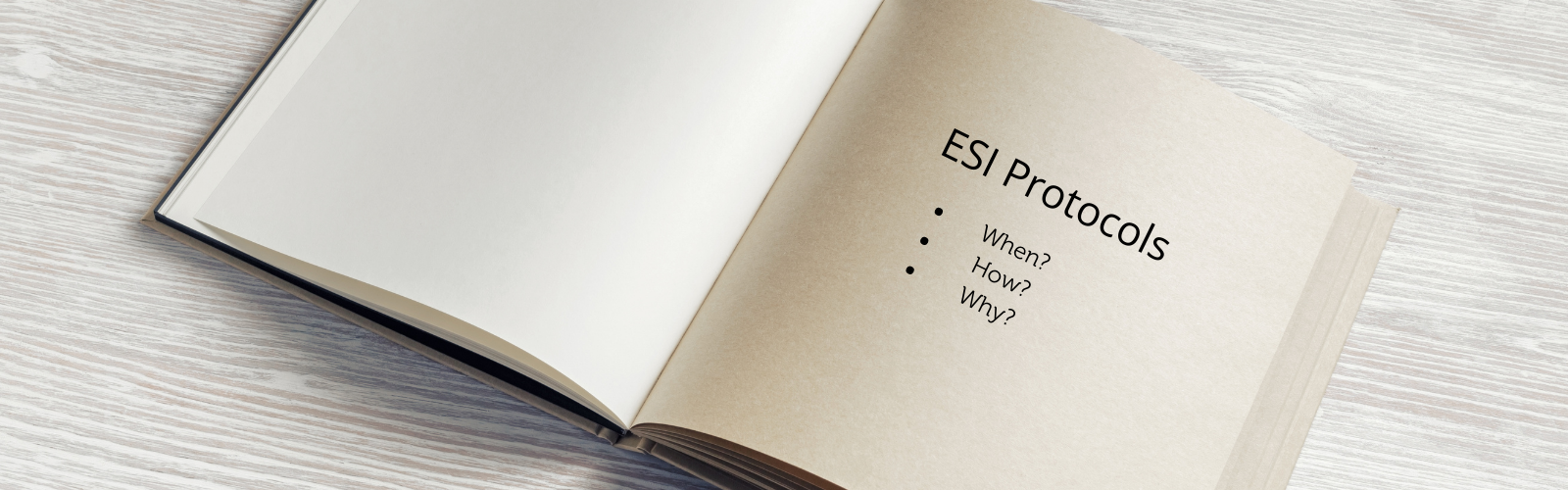 ESI Protocols Part I: Planning for eDiscovery—When, How and Why | Minerva26