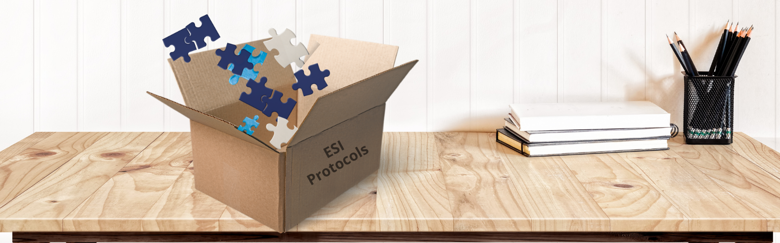 ESI Protocols Part II: Key Components of an ESI Protocol | Minerva26